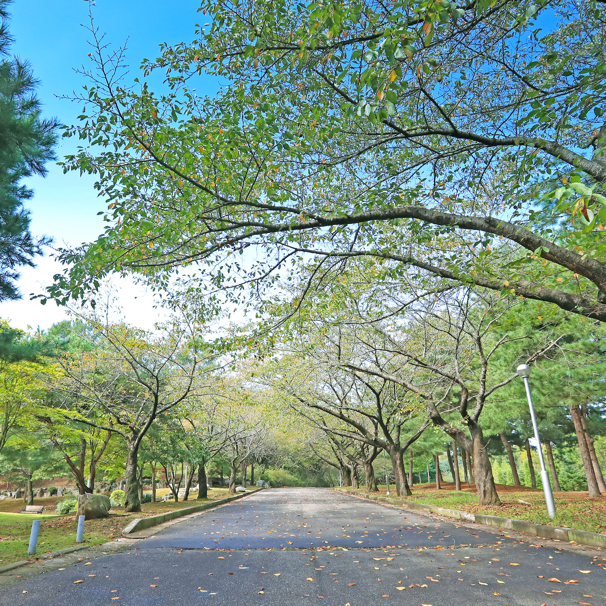 수원대학교 > The university of suwon