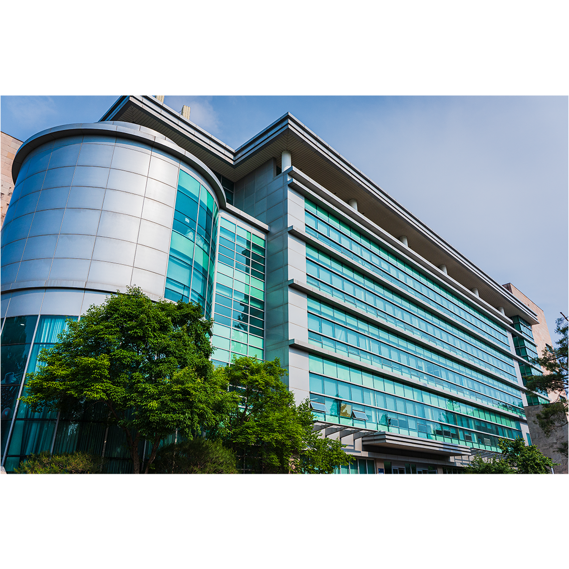 수원대학교 > The university of suwon