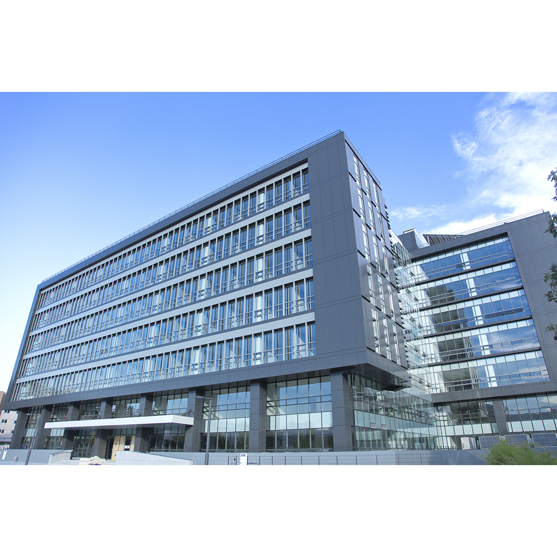 수원대학교 > The university of suwon